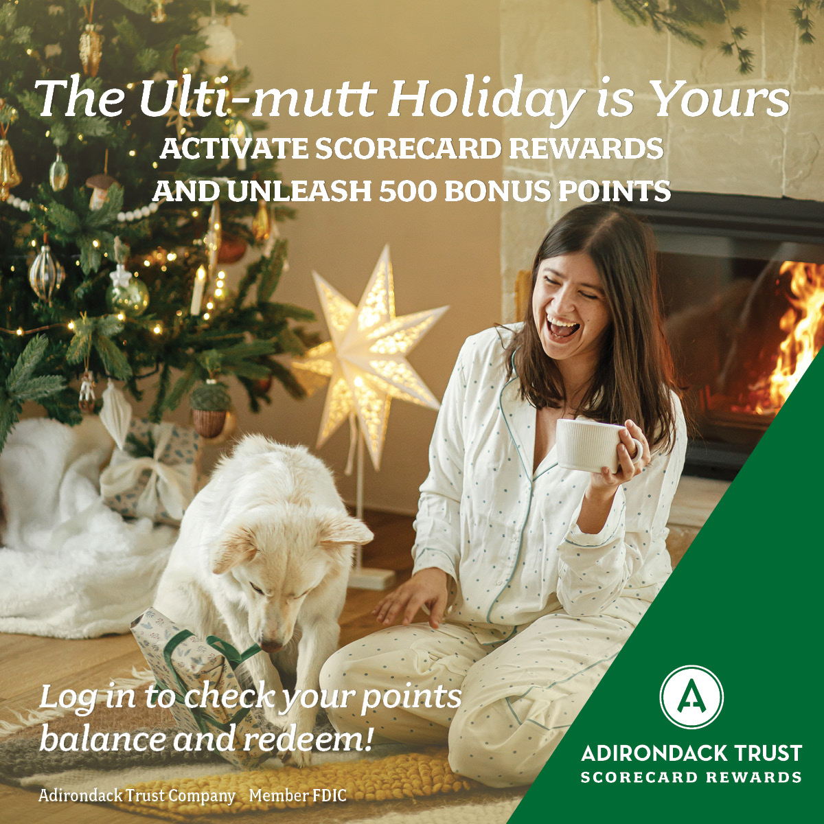 The Ulti-Mutt Holiday is Yours | Adirondack Trust Visa Debit Card ...
